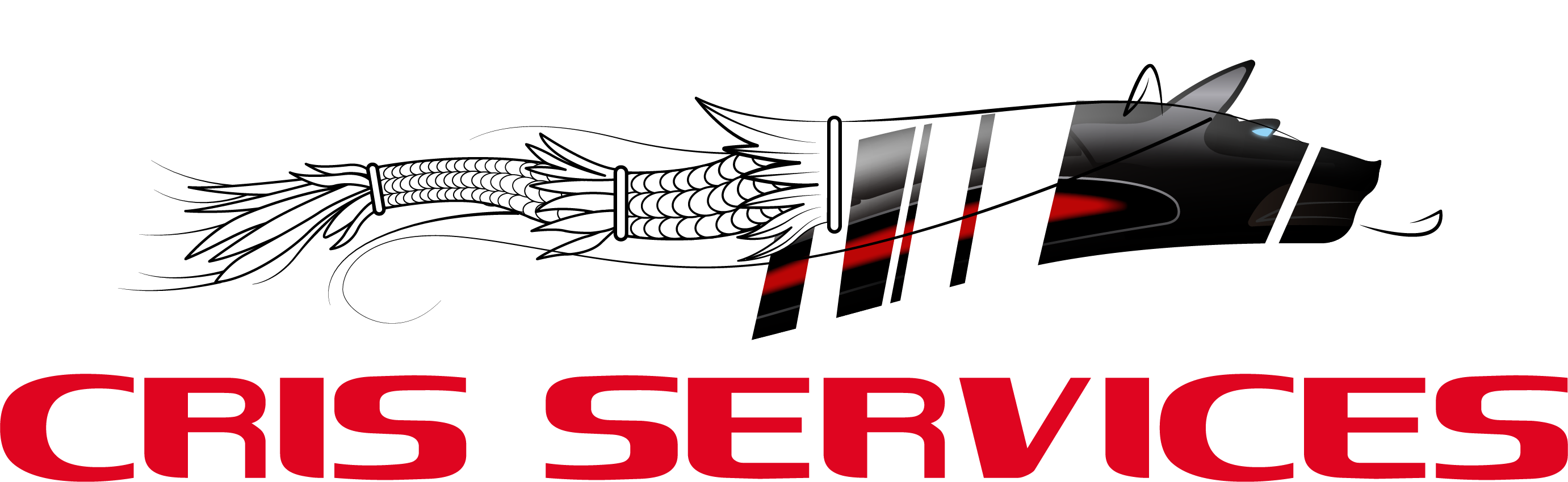 News - Cris Services